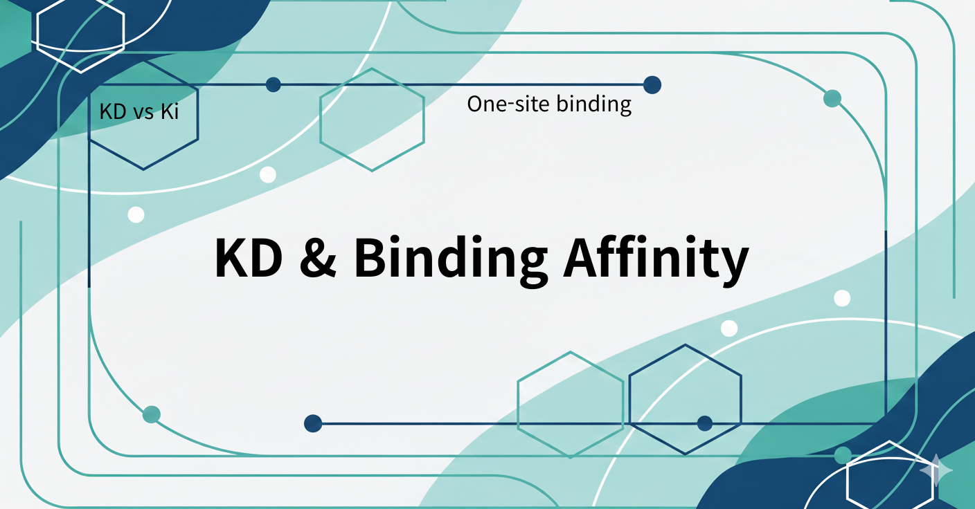 [KD값 계산 원리] Binding Affinity와 KD 완벽 가이드